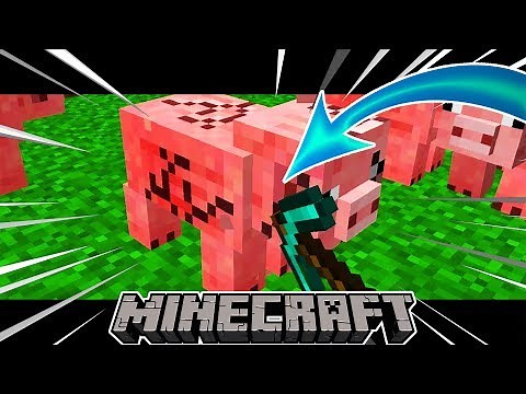 MINECRAFT MAIS PLUS RIEN N'A DE SENS AVEC ‪@FuriousJumper‬ !
