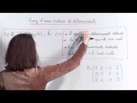 Exercise 8 (Matrix of a linear transformation) [01099]