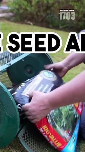 Avoid Common Mistakes: Perfect Lawn Care Sequence