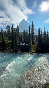 The beauty of nature is out of this world 😍 This is the definition of therapy. Incredible @degraaf.david 🤝 #earthing #grounding #groundingenergy #dailyhabits #healthtip #holistichealth #holistichealing #holistic #alternativehealth #alternativehealing #alternativehealthcare #naturalhealing #empoweryourself #mindbody #quantumhealing #energyhealing #energyhealer #energyhealers #quantumphysics #begroundedeveryday #begrounded #energyflow #energyhealing #superhuman | BeGrounded