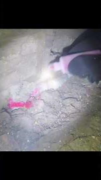 Inspecting and looking for leaks on an Olympic size swimming pool. #HandsomeOrHandy #ScubaDiving