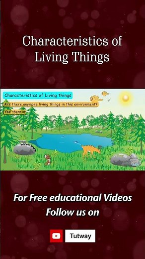 Characteristics of Living Things | Features Living Things | Science #shorts