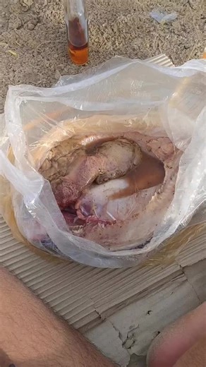 Understanding Food Waste Disposal Practices