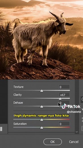 Tutorial Color Grading Foto untuk Pemula di Photoshop