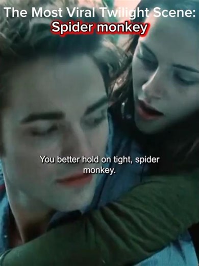 Spider monkey #shorts #twilight