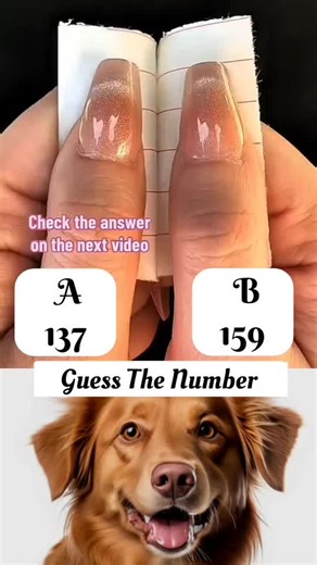Guess the Number Game: Fun Challenge for All Ages