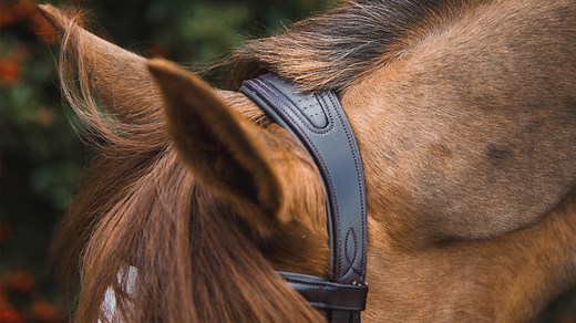 13 anatomical bridles to ensure maximum comfort
