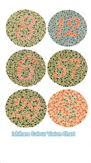 Ishihara #colour #vision #chart #eyes #see #education #blindness #science #viral #reels #shorts #pg