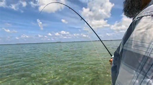 Heya, so if you've ever wanted to catch a #permitonthefly? Come to #xcalak and #acocoteecoinn. We still have high season openings even openings for Christmas week. So send us a note and we can get you booked. We can book you either great guides, or if diy is more your style, we can point you to productive flats within striking distance of the inn. We would love to have you stay with us! | Acocote Eco Inn