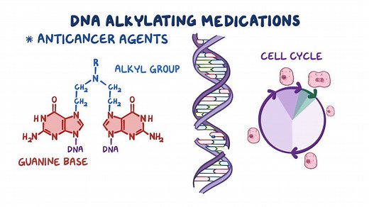 Video: DNA alkylating medications - Video Explanation! | Osmosis | Osmosis