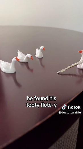 Doctor Waffle (@doctor_waffle) - Bruce the Goose: A Puppet a Poet and One of a Kind