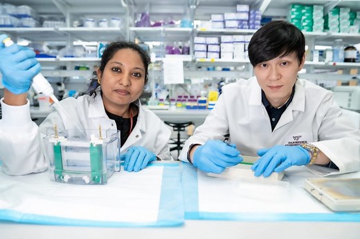 Postdoctoral Opportunities