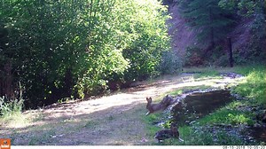 6.1K views · 215 reactions | Happy Friday, everyone! | MPG Wildlife | Facebook