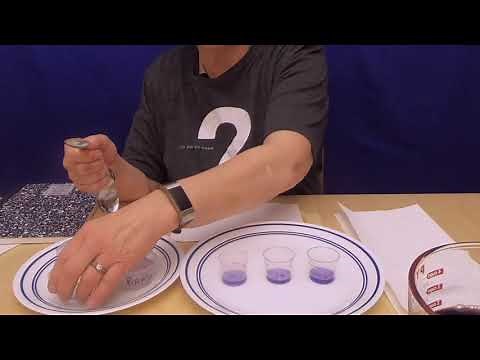 Science at Home: Red Cabbage pH Experiment