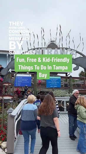 Can’t say I blame them for taking advantage of these roasty-toasty waters during the winter! 🦭 What are your favorite free things to do around Tampa Bay this time of year? Drop it below! @manateeviewingcenter _____________________ #tampa #tampaflorida #florida #floridian #explore #explorepage #blog #bloggerlife #bloggerlife #travel #travelphotography #travelblogger #travelgram #travelblog #adventure #stpete #stpetersburg #stpetebeach #influencer #influencers #travel #blog #travelblog #food #foo