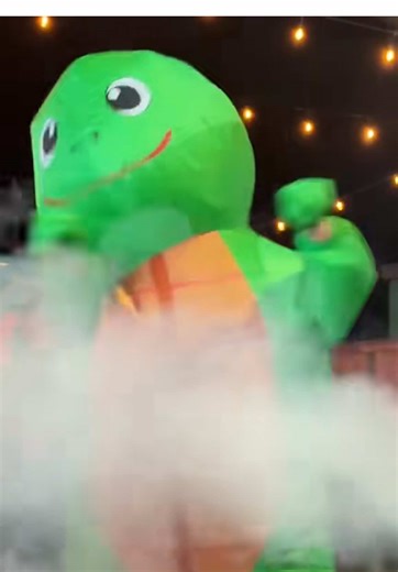 Turtle Racing on Thursday Nights: A Unique Experience