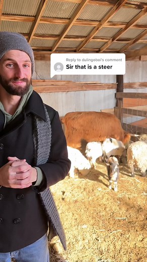 Farmville: Discovering Different Cattle Breeds for Milk Production