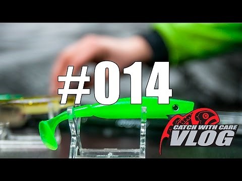 Piglet Shad - CWC VLOG #014
