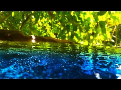 Peaceful Stream Sounds 10 Hours | Sleep, Study, Focus | Water White Noise