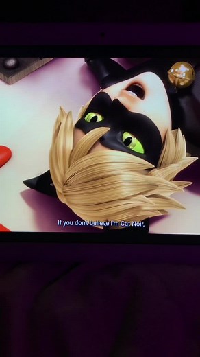 Why Does Cat Noir Call Ladybug Bugaboo? Explained