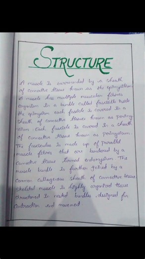 #Muscles(Types of muscle and mechanism of skeletal muscle contraction)#Assignment file/project fil##