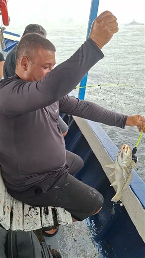 pescaria na Baía de Guanabara #fishing #pescaria #baiadeguanabara #barcopesqueiro #riodejaneiro #fyp