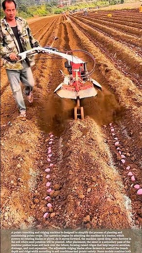 Efficient Potato Farming with Trenching and Ridging Machines #farmwork #farmingtips