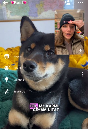 De-acum înainte, Mamy are tot timpu’ Listuța-n buzunar! Dacă și Pawrinții tăi sunt uituci, zi-le de aplicația @Lista de Cumparaturi 🛒✅ 🚗Când merge Mamy la shopping o surprind adăugând tot felu’ de minuni pe Listuță🤭💖 Mi le cumpără pe toate, că mă iubește!🫶🏼 Și ghici ce?! Mamy vede pe aplicație și toate reducerile de la toate Magazinele😱😮 🐾😘Distracție Frumi la cumpărături, Karmici!