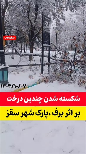 ‎سقز ولات‎ on Instagram‎: "شکسته شدن چندین درخت بر اثر بارش برف سنگین/ پارک شهر سقز"‎