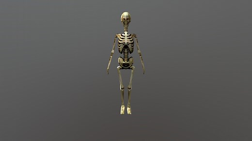 [ RIGGED ] PSX LowPoly Retro - Skeleton - Download Free 3D model by Daniel Legt (@danlegt)