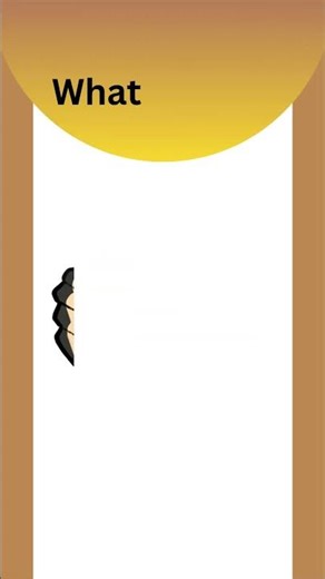 What Is This Bird? | Bird Name | Bird for Kids | Kids Educational video | Bird Learning for Kids