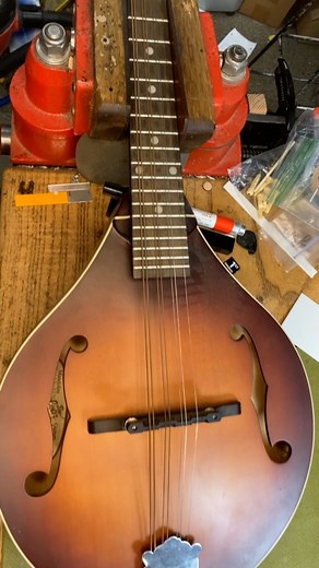 Restringing The Loar mandolin #mandolin #guitarrepairs | Whittlesticks, Inc. - J. Luke Heaton