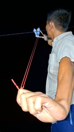 target two turtle doves | Baim Maulanfiqry