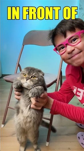 Where's the Cat Hiding? Learn Positions Now! 🐱 #learnforkids #shorts