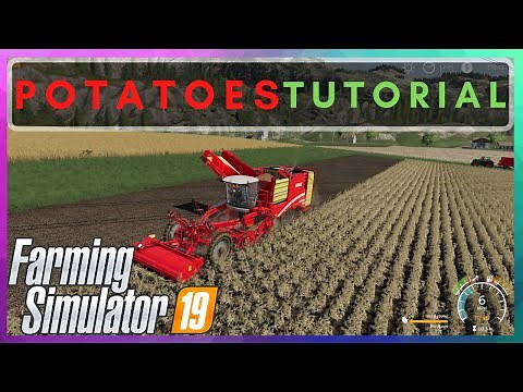 Potatoes Tutorial FS 19