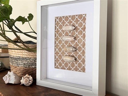 Coastal Seashell Shadow Box Wall Art | Framed Shell Display | Beach Cottage Nautical Decor | Neutral Coastal Home Accent | South Carolina SC - Etsy