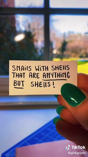 Unique Snail Shell Tattoo Ideas for Artful Individuals