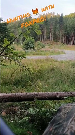 Hunting Foxes with the Shockwave by ‪@FOXPROINC‬