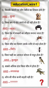 2.3M views · 4.3K reactions | Ias interview questions #gk #gkunion #gkchallenge #gkquiz #gkinhindi #gkindia #gktraining #gktricks #gktoday #gkgs #gkhindi #gkfacts #reelsviralシ #generalknowledge #viralreelsシ #gkknowledge #viralvideoシ #currentaffairs #reelsfypシ #instadaily #fypシ゚ #quiz #education #fypageシ #foryoupageシ #ytshorts | Education Wire 1 | Facebook