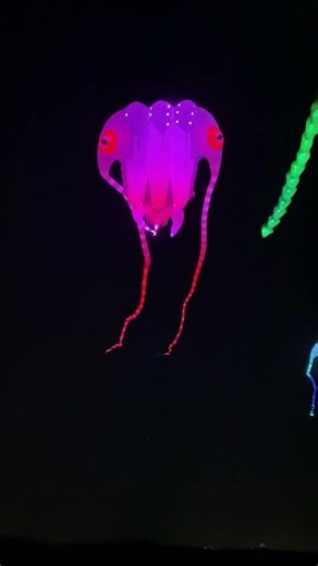 LED Trilobite Night Kite