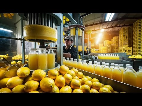 From Farm to Bottle: The Lemon Juice Manufacturing Process