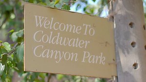 2.2K views · 64 reactions | Take a moment from your day for some forest bathing and learn more about our park at https://www.treepeople.org/friends-of-coldwater-canyon-park! | TreePeople | Facebook