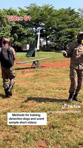 Understanding Police Dog Training Techniques