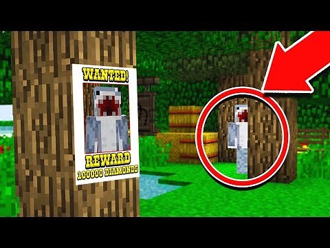 HAVE YOU EVER SEEN THIS MINECRAFT PLAYER?