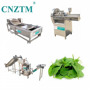 [Hot Item] Leaf Vegetable Processing Line Baby Spinach Processing Line