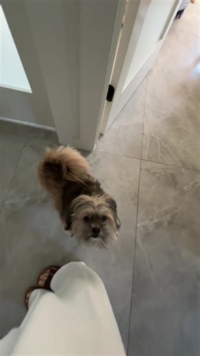 made it on the cruise!!🚢 #cruise #grwm @royal carribean | cruise