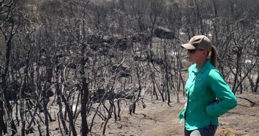 Havilah resident advocates for flood mitigation measures as Borel B.A.E.R. Team completes assessment