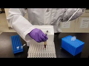How to properly collect and handle GLP-1 samples