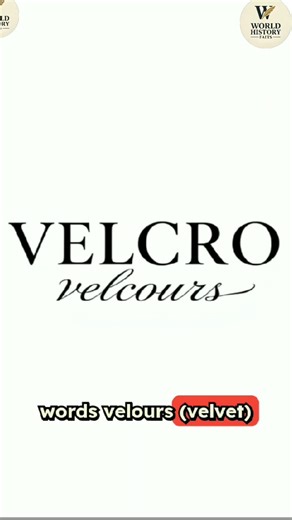 #Velcro #GeorgeDeMestral #Invention #Innovation #HistoryFacts #ScienceHistory #AccidentalInvention #NatureInspired #DesignHistory #historyreels #historyvideo | World History Faits | Facebook