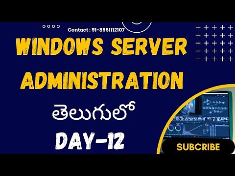 Active Directory Logical Structure: Forest vs Tree vs Domain